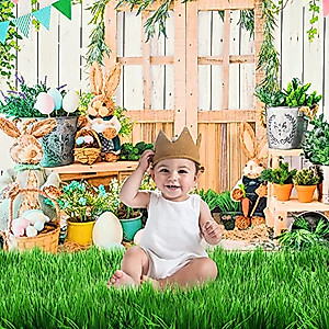 WENMER 5X7ft Spring Easter Backdrop, Garden Easter Egg Rabbit Photography Background Rustic Wooden Door Easter Bunny Flower Photo Backdrop for Easter Kids Children Newborn Baby Pet Portrait Photo