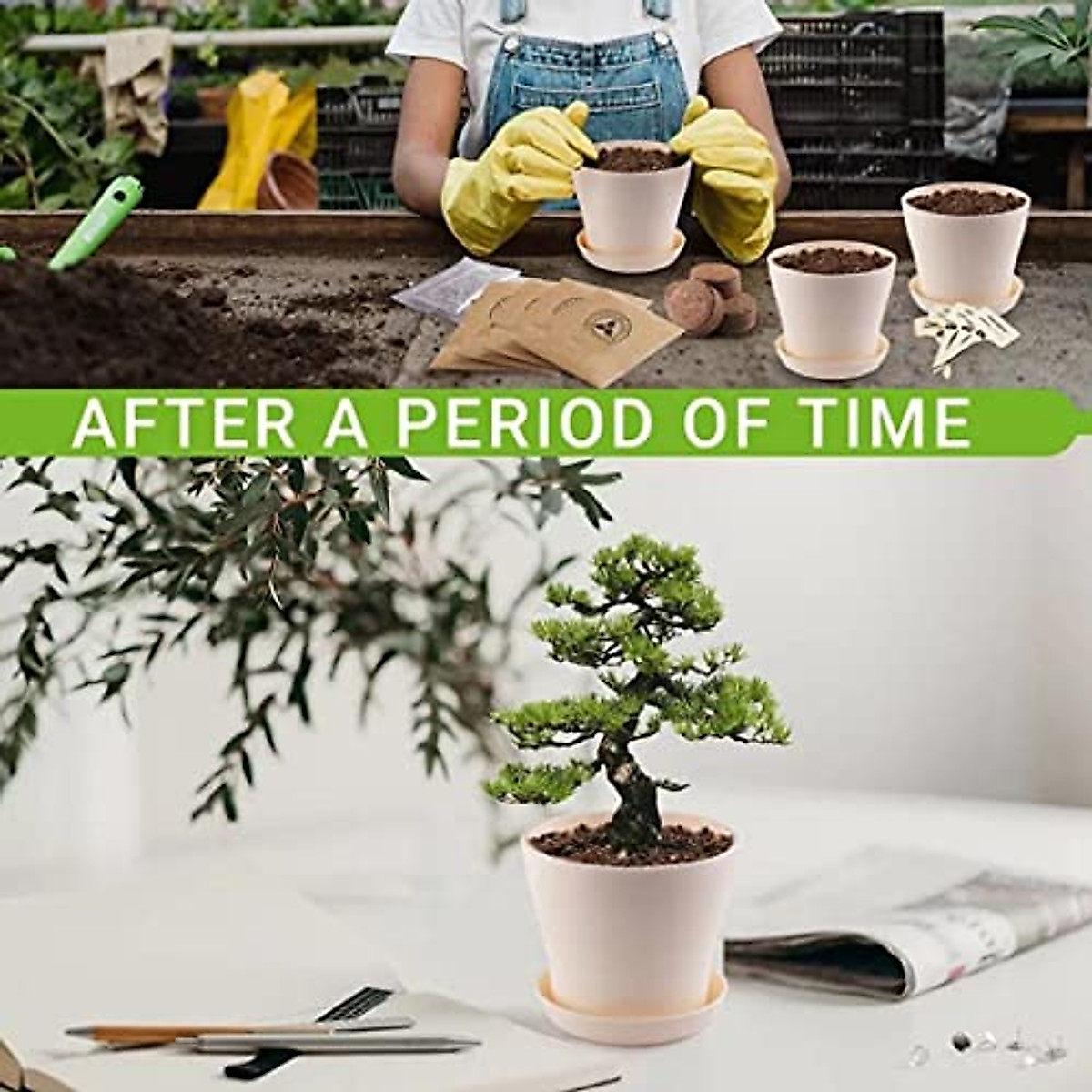 DORAKCI Bonsai Tree Kit - Gardening Gift for Men & Women - Bonsai Tree Growing Garden Crafts Hobby Kits for Adults - Room Decor - Bonsai Tree for Beginners - Crafts for Adults