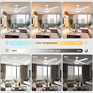 CJOY Ceiling Fans with Lights, 52 inch Ceiling Fan with Light and Remote, LED Dimmable, Modern Ceiling Fan Reversible Two-color 4 Blades, 3 Speeds Quiet, Outdoor Ceiling Fan for Patios/Bedroom Indoor