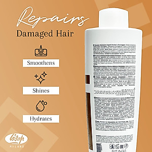 Lisap Top Care Repair | Elixir Care Shampoo | Cleanses, Hydrates, and Adds Shine to Dry, Damaged Hair | 16.91 fl oz