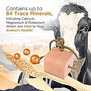 UMAID Compressed Pink Himalayan Salt Lick, [2 Pack] – 5.5 Lb. 100% Natural Himalayan Salt Block with Hanging Rope Helps Replace Lost Electrolytes for Deer, Horse, Cow, Goat, Pigs, Wild Animals & Pets