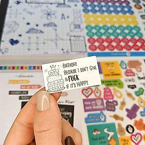 Rude and Humorous Planner Stickers for Adults - 660pc Unique Assorted Journal Decorations - Stay Organized and Get Your Life Under Control - Matte Finish, Unplanner Stickers by Vladi Creative