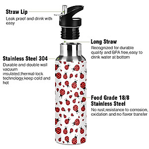 Ladybugs Pattern Insulated Water Bottle with Straw, Stainless Steel Sports Water Bottles, Double Wall Vacuum, Leakproof, BPA-Free 20 oz