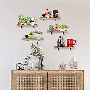 Floating Shelves Wall Mounted Set of 10,Rustic Wood Wall Shelves for Kitchen Decor, Hanging Shelving for Bathroom,Bedroom,Living Room,Laundry Room,Shelf for Plants, Books Office Display Shelves