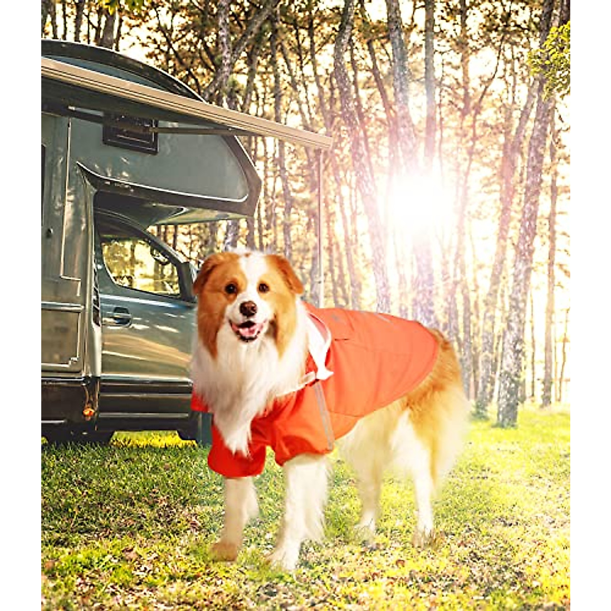 Dog Raincoat, Waterproof Hooded Dog Rain Jacket, Adjustable Dog Raincoat with Hood Leash Hole, Lightweight Pet Raincoat with Reflective Strip, Dog Raincoats for Small Medium Large Dogs (Large, orange)