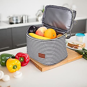 VS VOGSHOW Insulated Lunch Bag Women Kids, Double Deck Reusable Lunch Bag for Girls, Small Cute Lunch Bags for Women Teens, Freezable Lunchbag for Work, 9L