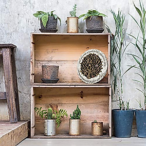 MyGift Resin Outdoor Stepping Garden Stone, Decorative Wall Decor with Life Family Tree and Quote