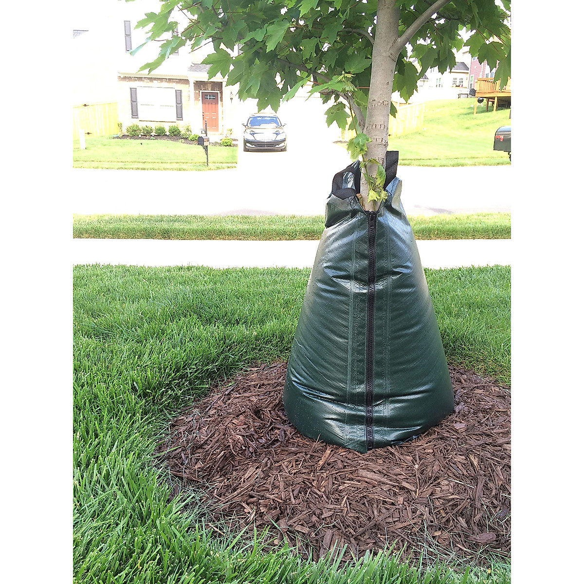 20 Gallon Slow-Release Tree Watering Bag