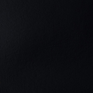 Liquitex BASICS Acrylic Paint, 250ml (8.5-oz) Tube, Ivory Black