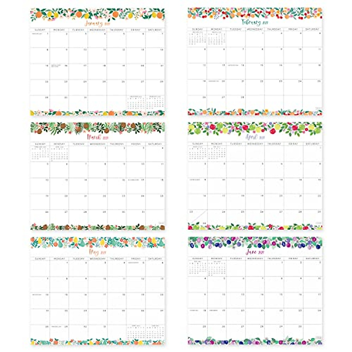 S&O Fruity Magnetic 2023 Fridge Calendar from July 2022-Dec 2023 - Tear-Off Refrigerator Calendar to Track Events & Appointments - 18 Month Magnetic Calendar for Fridge for Easy Planning - 8"x10" in.
