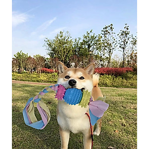 AGIEG Puppy Teething Chew Toys Pet Dog Chew Rope Toothbrush Chew Toys Small Medium Dog (6 Pack Dark Green)