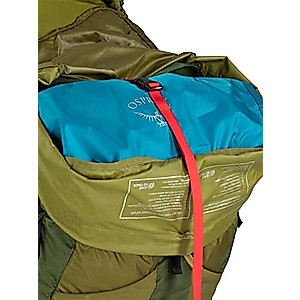 Osprey Atmos AG LT 50L Men's Backpacking Backpack, Scenic Valley/Green Peppercorn, L/XL