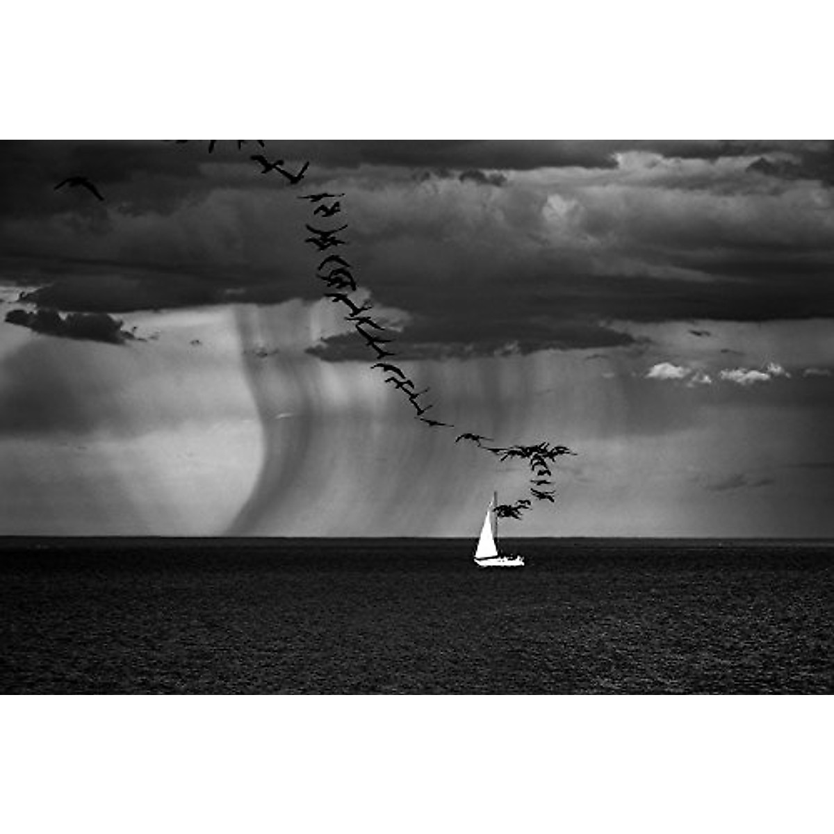 Sigma 150-600mm 5-6.3 Contemporary DG OS HSM Lens for Nikon