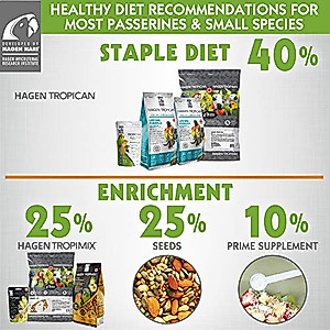Hagen Tropimix Enrichment Food for Cockatiels & Lovebirds, 2 lb. - HARI Parrot Food with Seeds, Fruit, Nuts, Vegetables, Grains, and Legumes