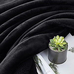 Walensee Sherpa Fleece Blanket (Twin Size 60”x80” Black) Plush Throw Fuzzy Super Soft Reversible Microfiber Flannel Blankets for Couch, Bed, Sofa Ultra Luxurious Warm and Cozy for All Seasons