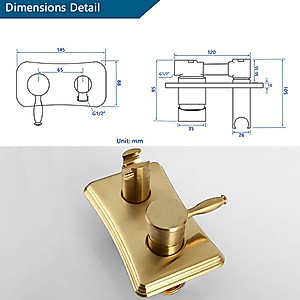 Bidet Sprayer Faucet Set with Cold and Hot Water Brass Handheld Toilet Bidet Attachment Pressure Sprayer Wall Mount Portable Cloth Diaper Washer Shower Sprayer Set/Brushed Gold (Black)