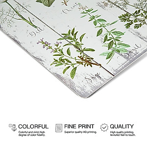 Putuo Decor Botanical Wall Decor, Education Infographic Herb and Spices Sign, Country Farmhouse Decoration Plaque for Bedroom, Kitchen, Garden, 12x8 Inches Aluminum Metal Art Sign