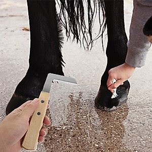 Happyyami Hoof Trimmer Portable Horse Shoeing Tool Horseshoe Repairing Cutter Stainless Steel Horseshoe File Animal Foot Pruning Tool Hoof Repair Tool Horseshoe Cutting Tool Shoeing Tools