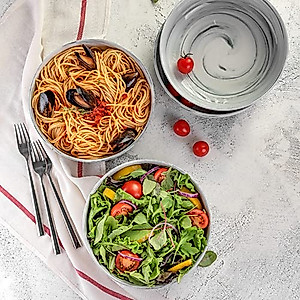 Divitis Home Fusion Pasta Salad Bowls set of 4, 56 fl oz, 8.5 inches, black porcelain (plates and bowls set; salad bowls; serving bowls; pasta bowls)