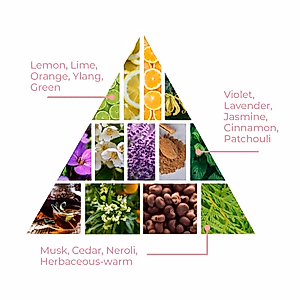 Baby Perfume Memory for Babies - by Baby Jolie, Alcohol Free, Kids Perfume Safe for Baby | 1.7 oz | 50ml