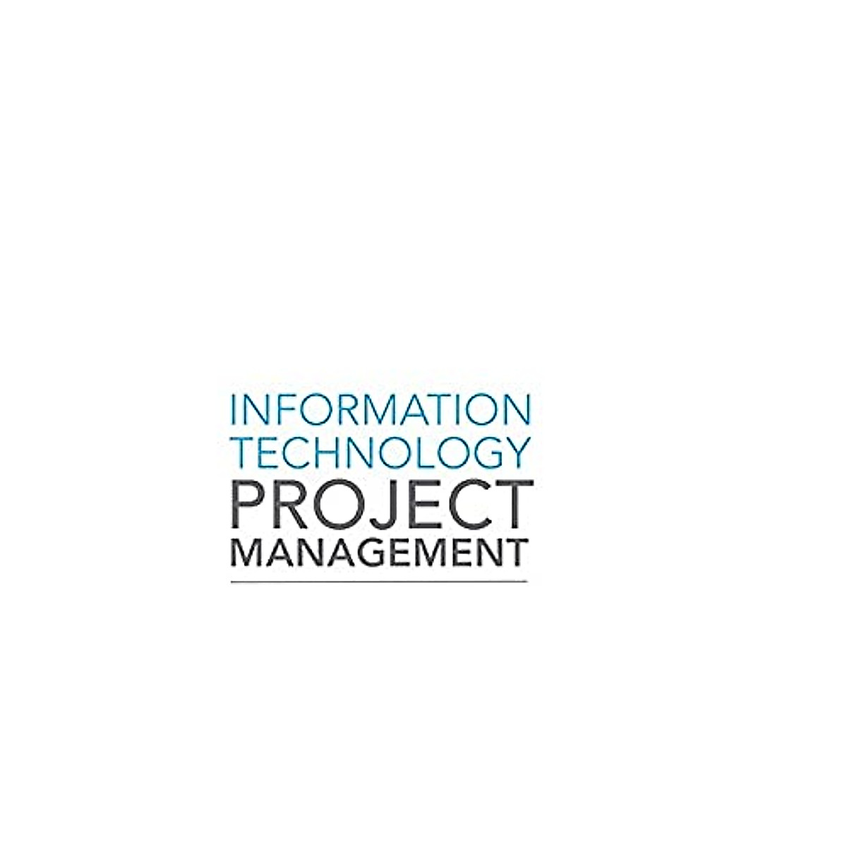Information Technology Project Management