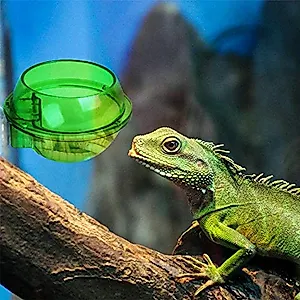 IAFVKAI Suction Cup Reptile Feeder 2PCS Reptile Food Water Feeding Bowl for Chameleon Tortoise Gecko Snakes Iguana Lizard