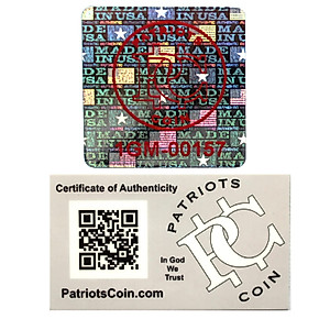 6 One Gram Pure Silver Bullion Bar Divides to 15 One Grain Bars .999 Fine Silver Snaps Apart to Individual 1 Grain Ingots