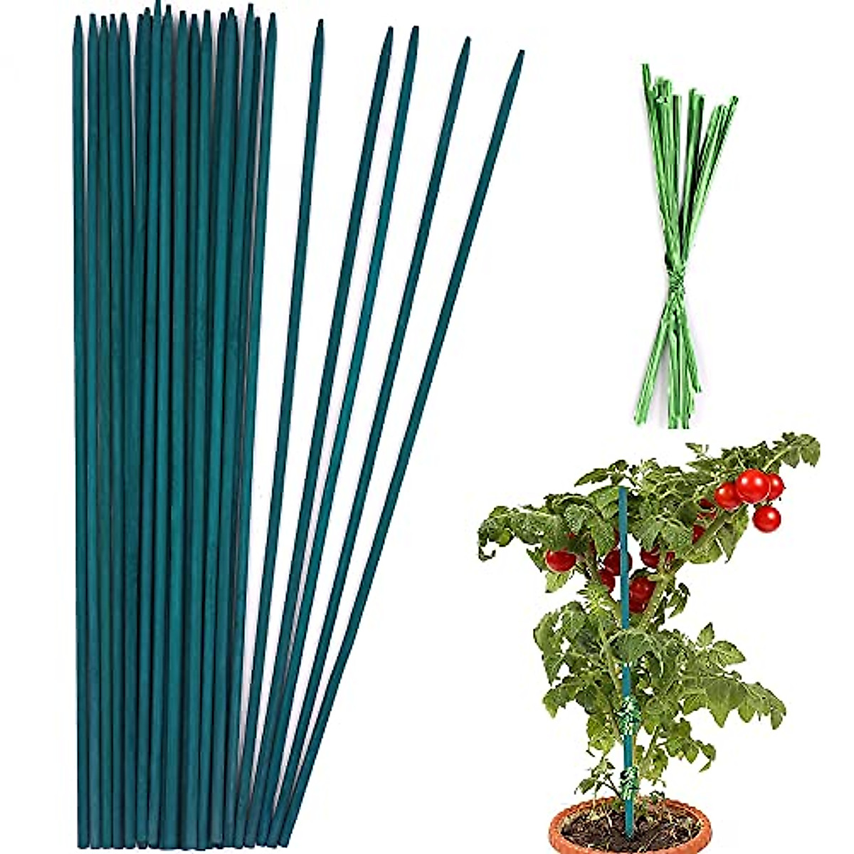 POLIUMB Green Plant Stakes Garden Wood Plant Support Stakes, Sturdy Wooden Floral Bamboo Sticks, Garden Sticks Sign Posting (18 inches-25 Pack)