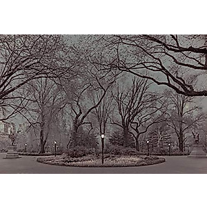 The End #1, from Deep in a Dream - Central Park