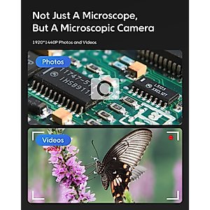 USB Digital Microscope, SKYEAR 50X-1600X Magnification Handheld Digital Microscope Compatible with iOS & Android Devices, Adjustable Stand, 8 LED Lights, Portable Microscope Camera for Adults, Kids