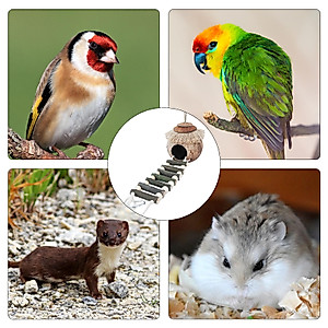 NOTRAK Natural Coconut Bird Nest, Coconut Hide, Cute Nest with Ladder for Home, Coconut Bird Shell Breeding Nest for Home, Garden, Yard, Universal Bird Hut with Rope for Birds, Reptiles and Mammals