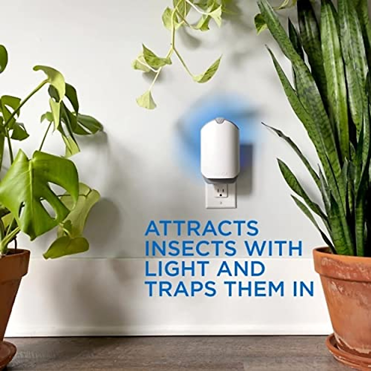 ZEVO Indoor Flying Insect Trap for Fruit Flies, Gnats, and House Flies (1 Plug-in Base + 3 Refill Cartridge)