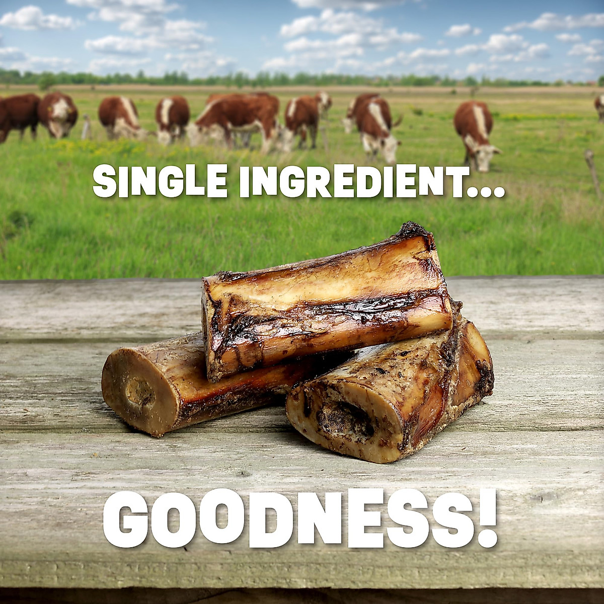 PUPDAWGS Single Ingredient Dog Bones - Made in USA - Beef Shank Bones - (3 Piece Pack)