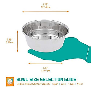 Fuzzy Puppy Food & Water Bowl for Cats & Dogs, Heavy-Duty Stainless Steel, Silver, 1 Quart