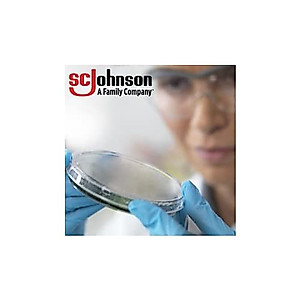 Raid Multi Insect Killer, Kills Ants, Spiders, Roaches and Flies, for Indoor and Outdoor use, 15 Oz (Pack of 4)