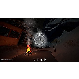 The Long Dark - PlayStation 4