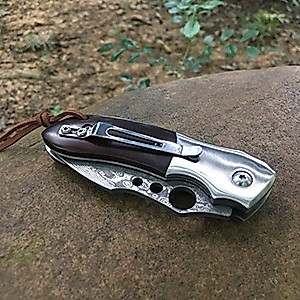 ALBATROSS Pocket Knife Cote D'Ivoire Sandalwood 6.22" Damascus Steel Knife Liner Lock Folding Knife - HGDK007