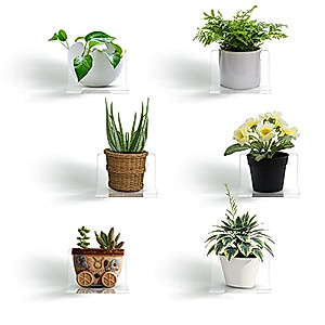 Yulejo Acrylic Floating Shelves Set Acrylic Small Wall Shelf Wall Mounted Shelf Bathroom Wall Drilling Organizer Adhesive Display Shelf for Bedroom Gaming Room Living Room Office (6 Pack,3 x 3 Inch)