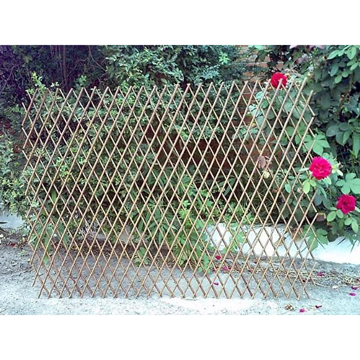 GLANT Lattice Fence Willow Expandable Plant Climbing Lattices Trellis Fence,Open Screen Fencing,Willow (1)