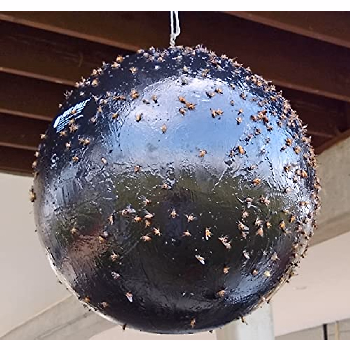 Bug Ball 2 Pack Deluxe kit - Odorless Eco-Friendly Biting Fly and Insect Killer with NO Pesticides or Electricity Needed, Kid and Pet Safe