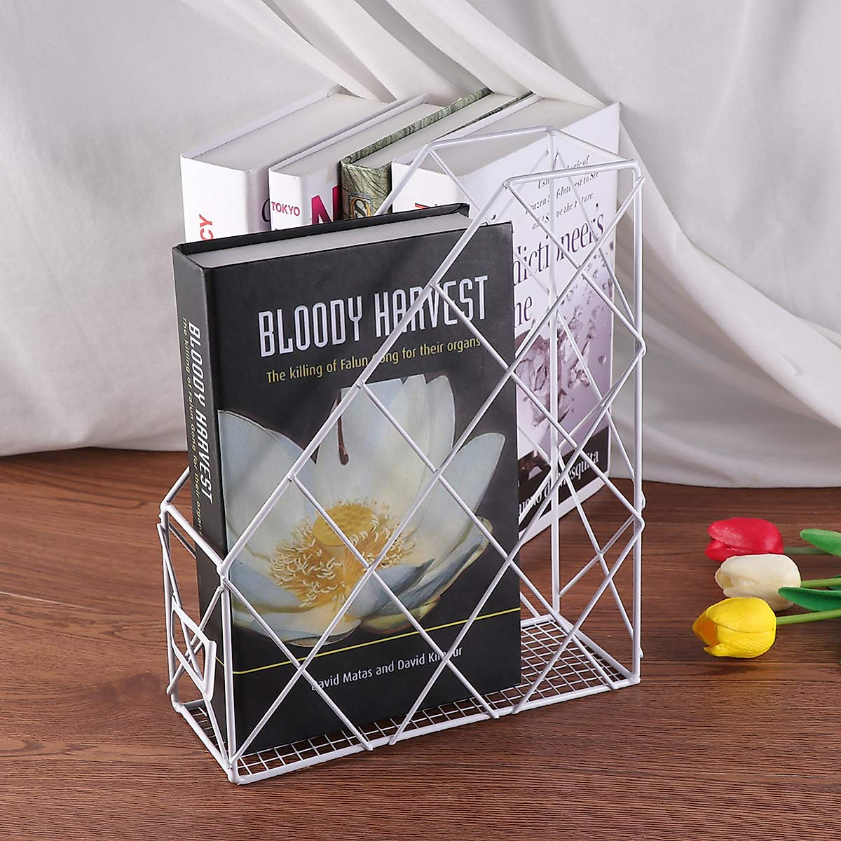 NUOBESTY Bookshelf for Office File Racks for Desktop Magazine File Holder Jewelry Organizer Hanger Desktop Organizer Magazine Stand Desk Accessories Storage Book Shelf White