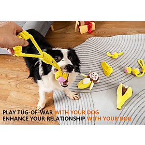 UNIWILAND 7 Pack Dog Chew Toys Pack for Dogs, 2 Cute Dog Squeaky Dog Toys with 5 Ropes Puppy Chew Toys, Puppies Teething Chew Toys, Cute Plush Dog Toys for Medium Small Dogs Boredom (Cute Monkey)