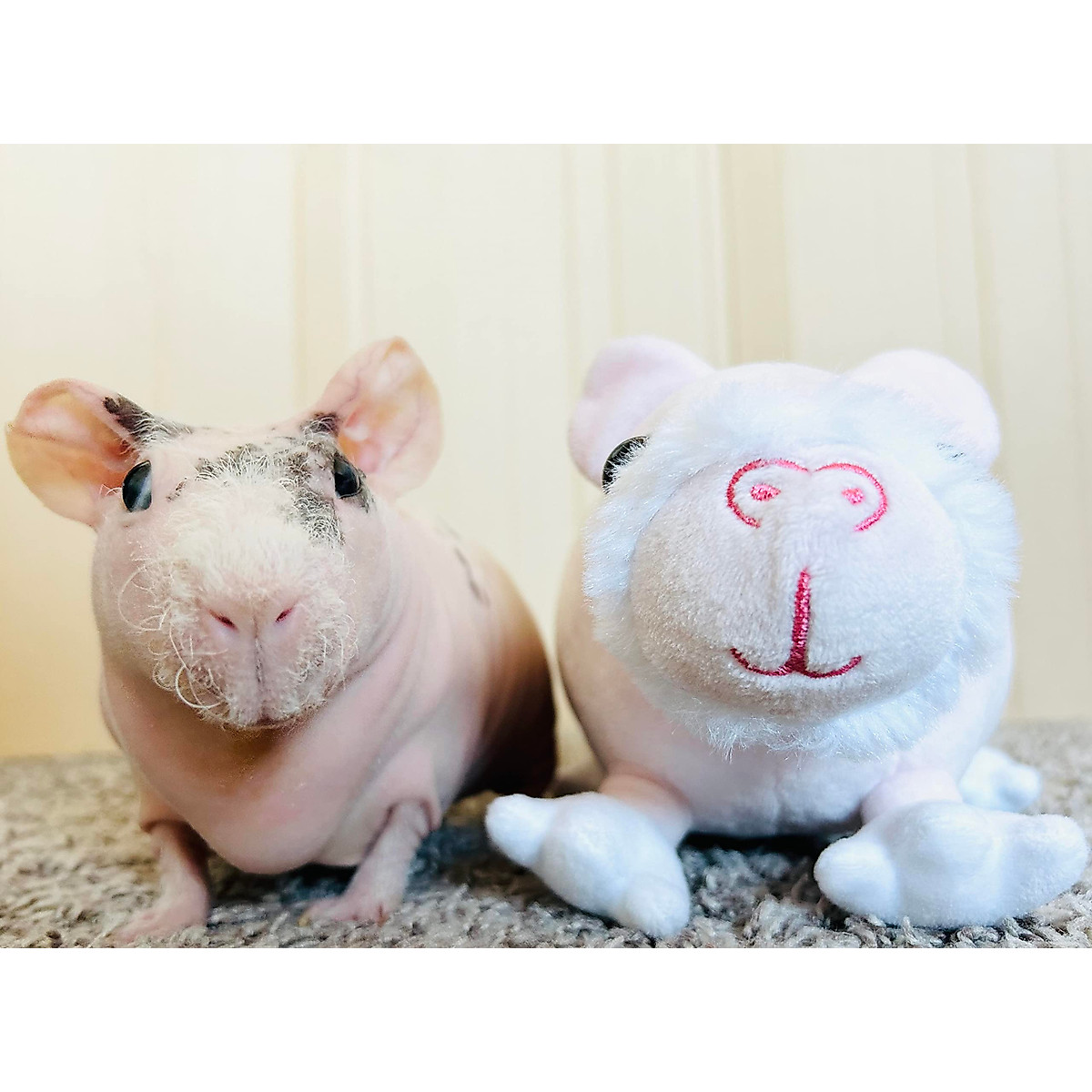 Sunny Sapling 8 Inch Hairless Guinea Pig Stuffed Animal with Small Mesh Laundry Bag (Noodle The Skinny Pig)