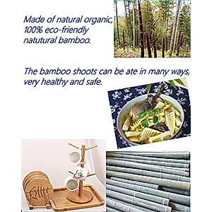 BVLJOY Mug Holder Tree, Coffee Cup Holder, Bamboo Mug Tree Stand, Coffee Cup Rack Dryer with 6 Hooks