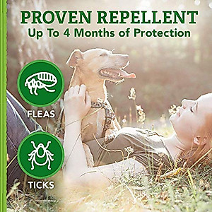 Natural Care Repellent Flea and Tick Collar for Dogs and Puppies - 4 Month Flea & Tick Treatment for Dogs - Repels Fleas & Ticks with Certified Natural Oils