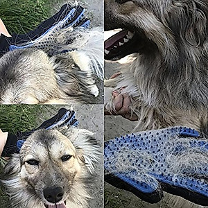 Pet Grooming Glove and Deshedding Brush - Perfect for Cat and Dog - Short and Long Hair - Gentle Pet Hair Remover Mitt - One-Size-Fits-All - 260 Soft Silicone Tips - Right Hand Product Name