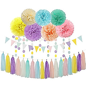 Pastel Rainbow Party-Decorations Supplies Streamers-Garland - 29pcs Baby Shower Birthday Wedding Tissue Pom Poms,Tassel Banner Backdrop Decor Bunting Lasting Surprise