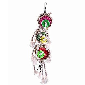 WeiLaiKeQi Pet Bird Toys Parrot Toys for Chewing