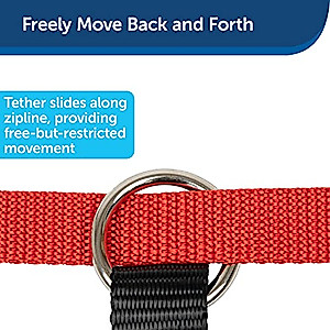 PetSafe Happy Ride Dog Zipline - Back Seat Leash, Great for Travel Red 72 IN