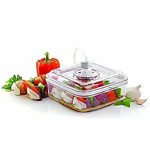 Foodsaver® - Quick Marinator